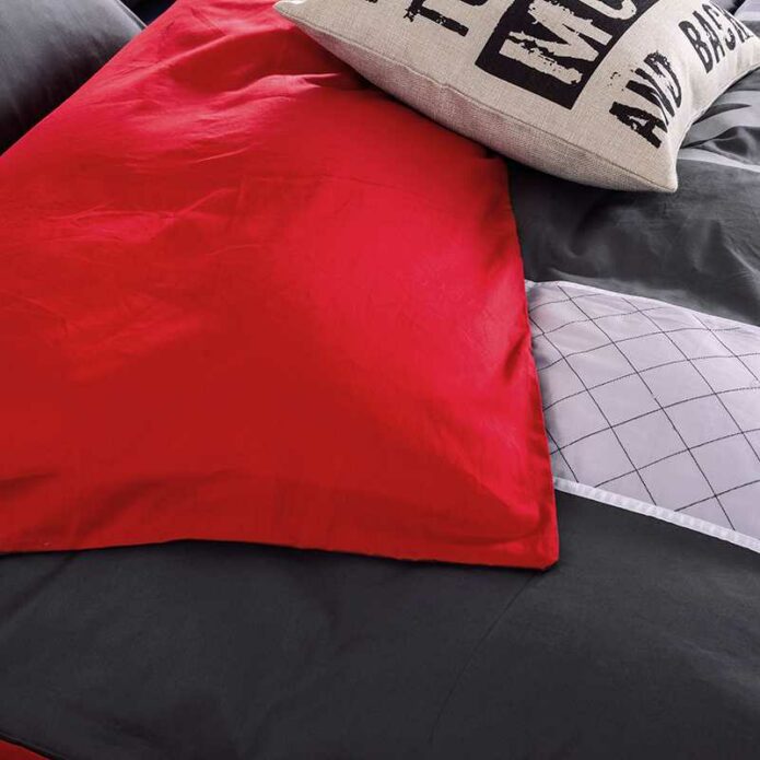 DC Comics The Flash Queen Size Bedding Set